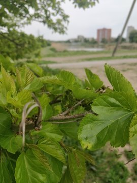 Natu Images – Browse 1,522 Stock Photos, Vectors, and Video | Adobe Stock