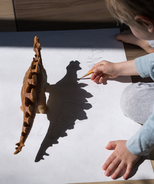 "Dinosaur Shadow" Imagens – Procure 48 fotos, vetores e vídeos | Adobe ...