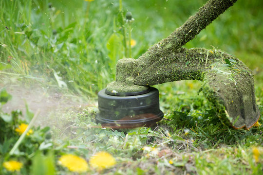 รูปภาพGrasscutter – เลือกดูภาพถ่ายสต็อก เวกเตอร์ และวิดีโอ523 | Adobe Stock