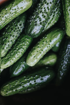 Korniszon Bilder – Durchsuchen 112 Archivfotos, Vektorgrafiken und ...