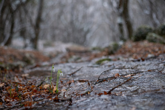 March Weather Background