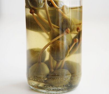 Kapers Bilder – Durchsuchen 397 Archivfotos, Vektorgrafiken und Videos ...