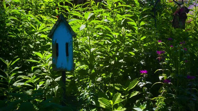 "Butterfly House" Images – Browse 3,897 Stock Photos, Vectors, and ...
