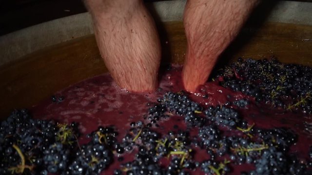 Maceration Images – Browse 984 Stock Photos, Vectors, and Video | Adobe ...