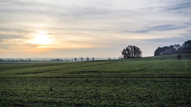 Hinteransicht Bilder – Durchsuchen 526 Archivfotos, Vektorgrafiken und ...