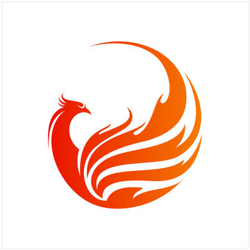 รูปภาพFenix – เลือกดูภาพถ่ายสต็อก เวกเตอร์ และวิดีโอ4,764 | Adobe Stock