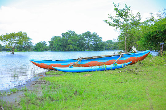 Kanthale Images – Browse 4 Stock Photos, Vectors, and Video | Adobe Stock