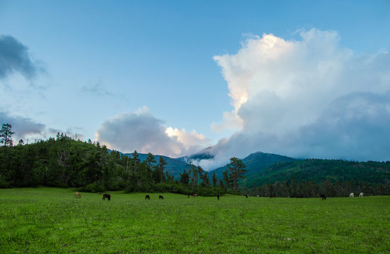 รูปภาพTetero – เลือกดูภาพถ่ายสต็อก เวกเตอร์ และวิดีโอ68 | Adobe Stock