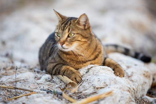 Releax Images – Browse 53 Stock Photos, Vectors, and Video | Adobe Stock