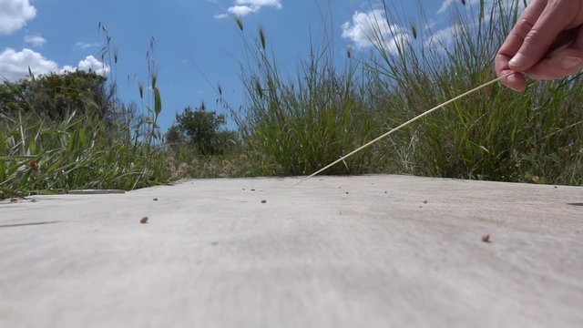 Hopping Images – Browse 256,251 Stock Photos, Vectors, and Video ...