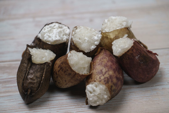 Periuk Images – Browse 51 Stock Photos, Vectors, and Video | Adobe Stock