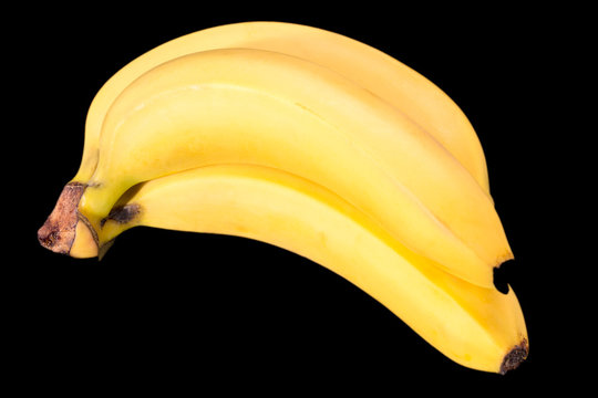 Bannan Bilder – Durchsuchen 77 Archivfotos, Vektorgrafiken und Videos ...