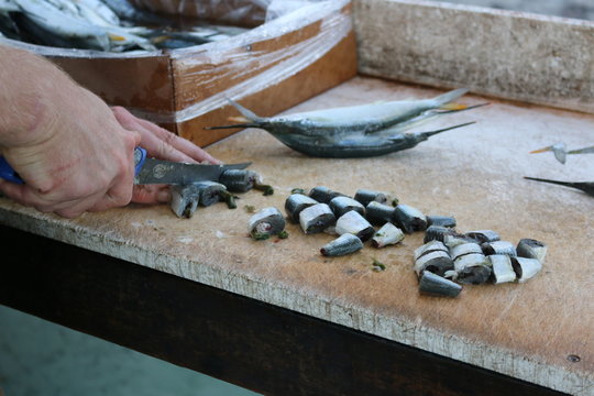 "Cutting Fish" Imagens – Procure 550 fotos, vetores e vídeos | Adobe Stock