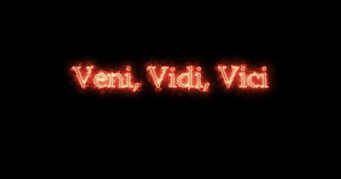 Vici Bilder – Durchsuchen 115 Archivfotos, Vektorgrafiken und Videos | Adobe Stock