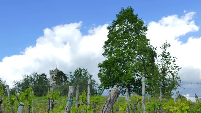 Imagens de Wineyard – Explore Fotografias do Stock, Vetores e Vídeos de ...