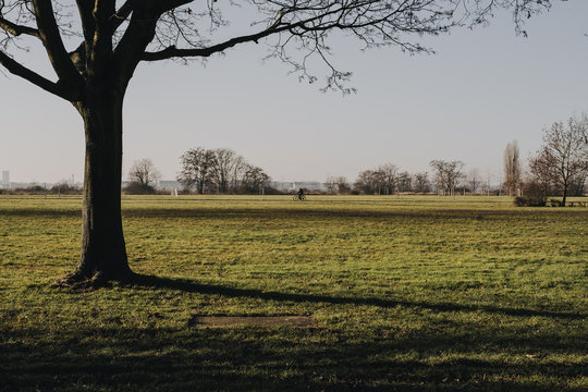 Hofer Bilder – Durchsuchen 319 Archivfotos, Vektorgrafiken und Videos ...