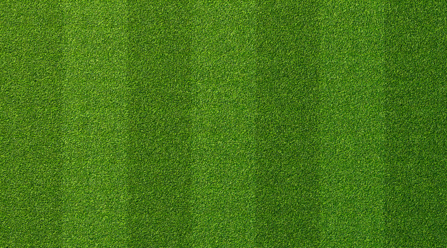 Repeating Grass Texture Images – Browse 316,643 Stock Photos, Vectors ...