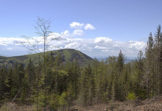 รูปภาพVelky – เลือกดูภาพถ่ายสต็อก เวกเตอร์ และวิดีโอ1,571 | Adobe Stock