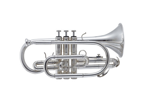 รูปภาพCornet – เลือกดูภาพถ่ายสต็อก เวกเตอร์ และวิดีโอ176,897 | Adobe Stock