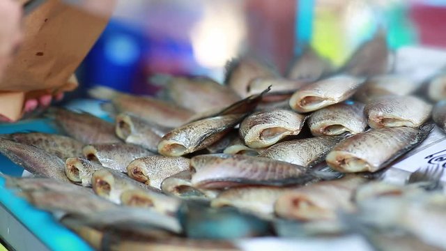 Imágenes de Plasalid: descubre bancos de fotos, ilustraciones, vectores ...