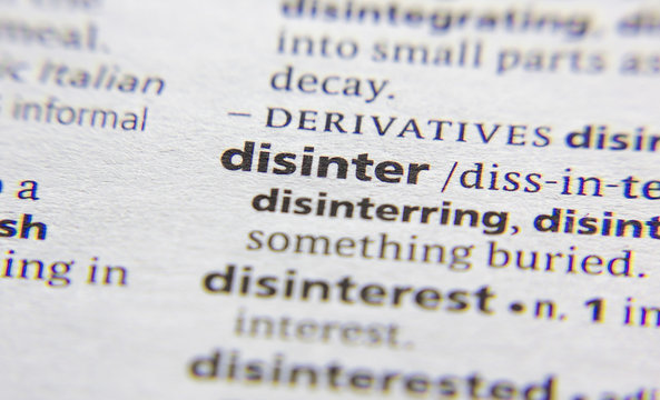 Disinter Bilder – Durchsuchen 2,320 Archivfotos, Vektorgrafiken und ...