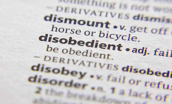 Disobedient Billeder – Gennemse 5,445 stockfotos, vektorer og videoer ...