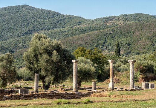 Ithomi Bilder – Durchsuchen 170 Archivfotos, Vektorgrafiken und Videos ...