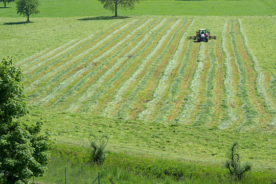 Heuen Bilder – Durchsuchen 225 Archivfotos, Vektorgrafiken und Videos ...