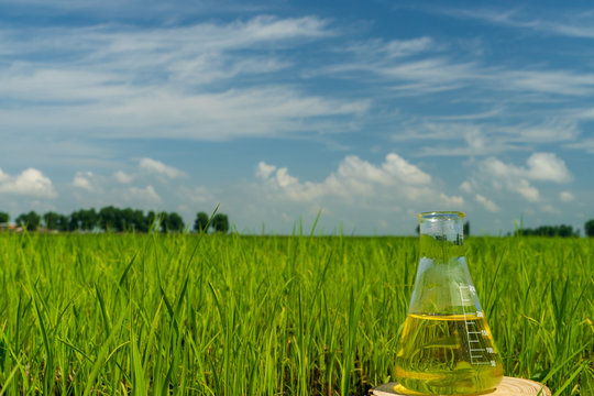 Agrochemistry Bilder – Durchsuchen 980 Archivfotos, Vektorgrafiken und ...