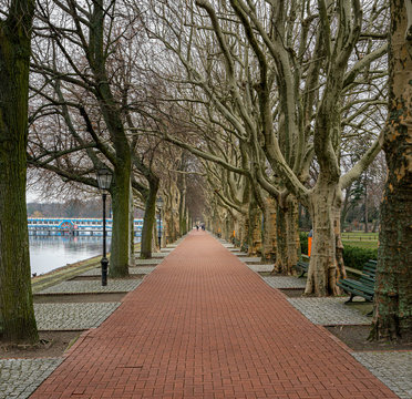 Pappelallee Bilder – Durchsuchen 1,068 Archivfotos, Vektorgrafiken und ...