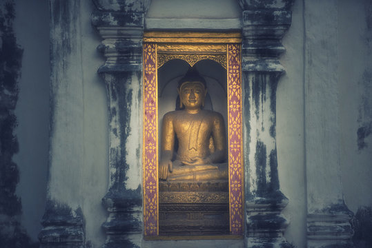 Dodi Images – Browse 52 Stock Photos, Vectors, and Video | Adobe Stock