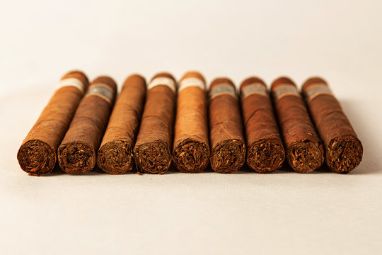 รูปภาพTabacchi – เลือกดูภาพถ่ายสต็อก เวกเตอร์ และวิดีโอ531 | Adobe Stock