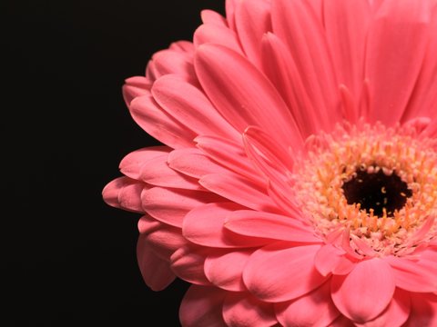 รูปภาพHalbe – เลือกดูภาพถ่ายสต็อก เวกเตอร์ และวิดีโอ2,983 | Adobe Stock