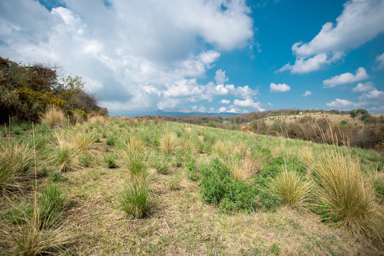 รูปภาพPastizal – เลือกดูภาพถ่ายสต็อก เวกเตอร์ และวิดีโอ1,184 | Adobe Stock