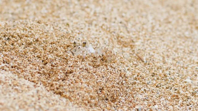 Pocked Images – Browse 15,674 Stock Photos, Vectors, and Video | Adobe ...