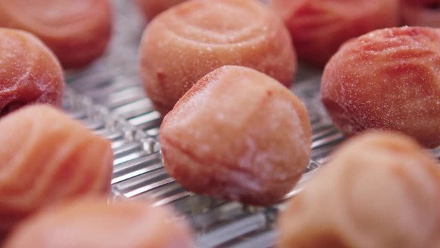 Umezuke Images – Browse 10 Stock Photos, Vectors, and Video | Adobe Stock