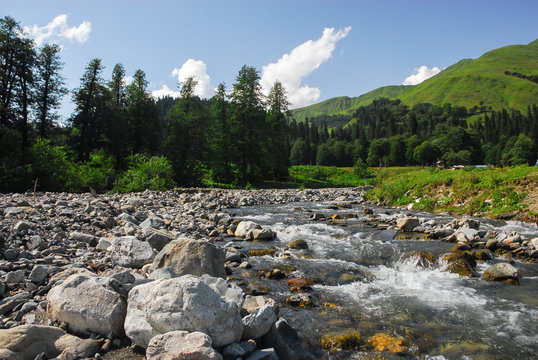 Bioreserve Images – Browse 611,858 Stock Photos, Vectors, and Video ...