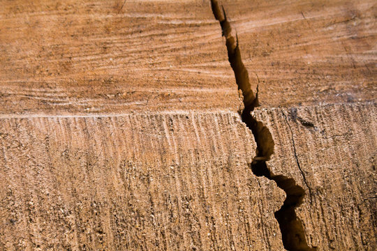 "Wood Crack" Images – Browse 78 Stock Photos, Vectors, and Video ...