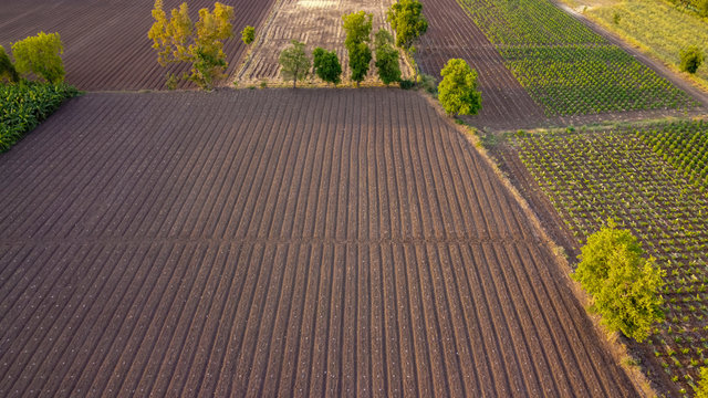 "Plowed Field" Bilder – Durchsuchen 6,554 Archivfotos, Vektorgrafiken ...