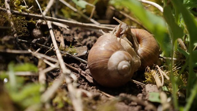 รูปภาพPaaren – เลือกดูภาพถ่ายสต็อก เวกเตอร์ และวิดีโอ3,156 | Adobe Stock