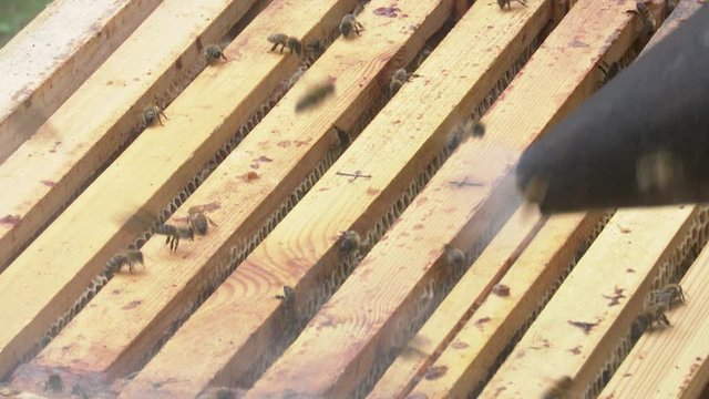 "Smoking Gun" 影像 – 瀏覽 728 個素材庫相片、向量圖和影片 | Adobe Stock