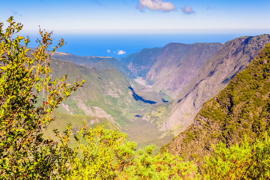 รูปภาพRavins – เลือกดูภาพถ่ายสต็อก เวกเตอร์ และวิดีโอ118 | Adobe Stock