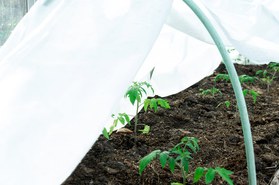 Abdeckmaterial Bilder – Durchsuchen 613 Archivfotos, Vektorgrafiken und ...