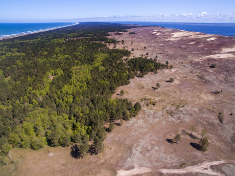 Preila Bilder – Durchsuchen 174 Archivfotos, Vektorgrafiken und Videos ...