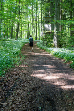 Fingen Images – Browse 58 Stock Photos, Vectors, and Video | Adobe Stock