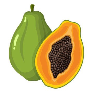 Papaya Cartoon Images
