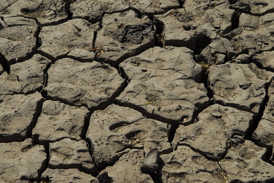 Imágenes de Cuarteada: descubre bancos de fotos, ilustraciones ...
