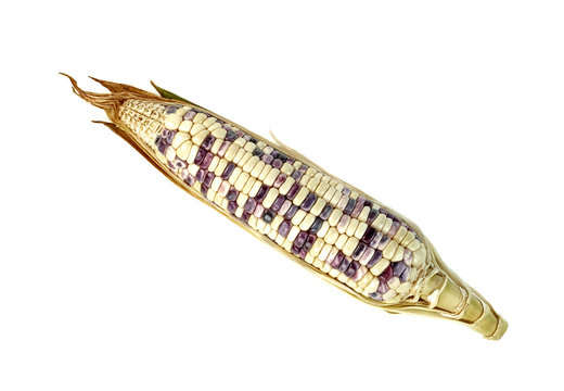 Cireux Images – Parcourir 15,800 le catalogue de photos, vecteurs et ...