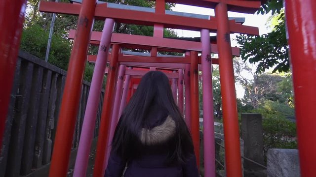 Profane Video Footage – Browse 417 HD Stock Video and Footage | Adobe Stock