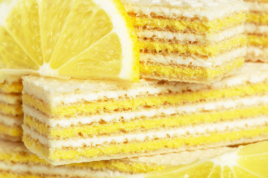 Bun-Fight Images – Browse 723 Stock Photos, Vectors, and Video | Adobe ...